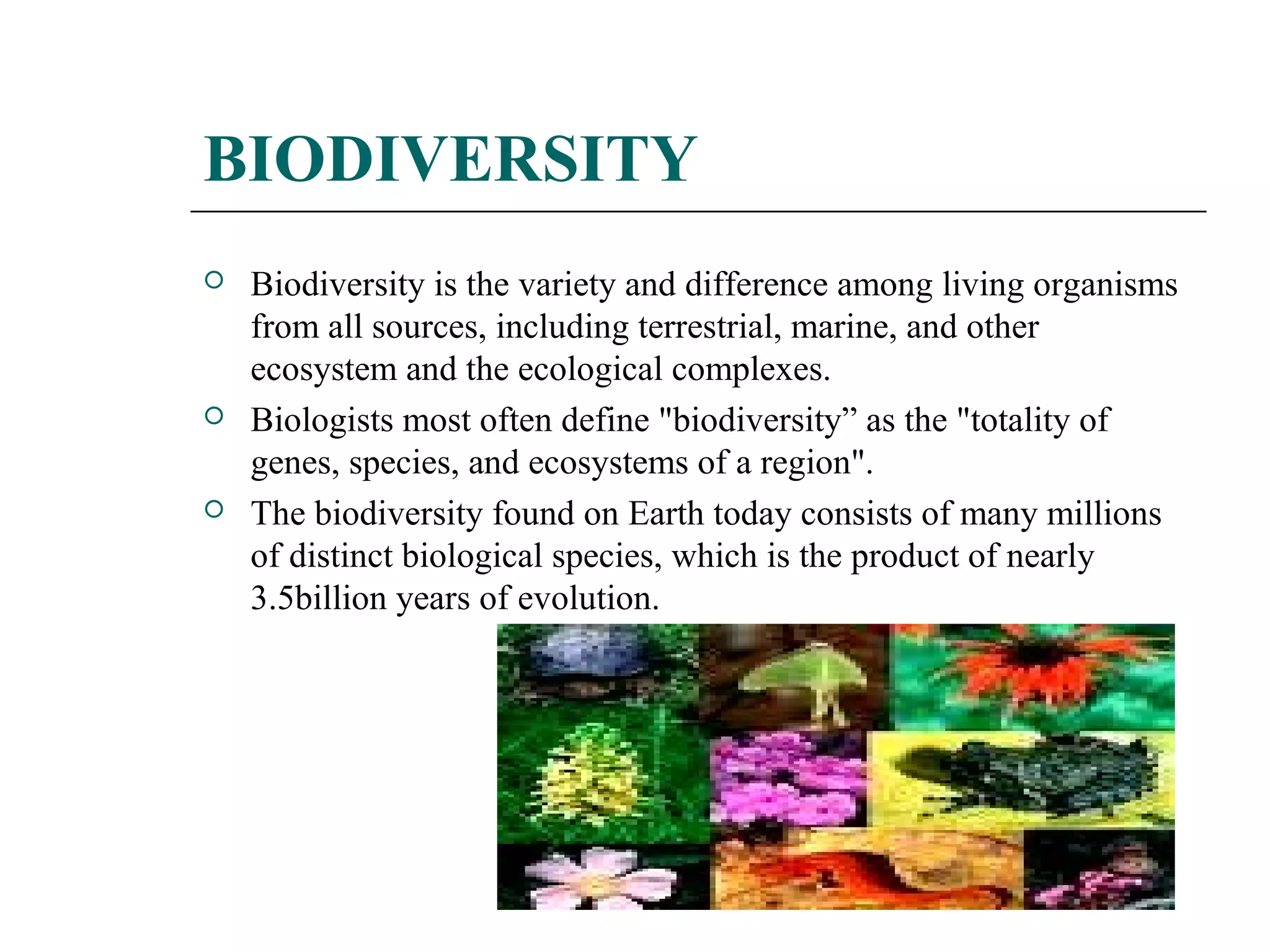 Biodiversity | PPT | Zoos & Aquariums | Attractions