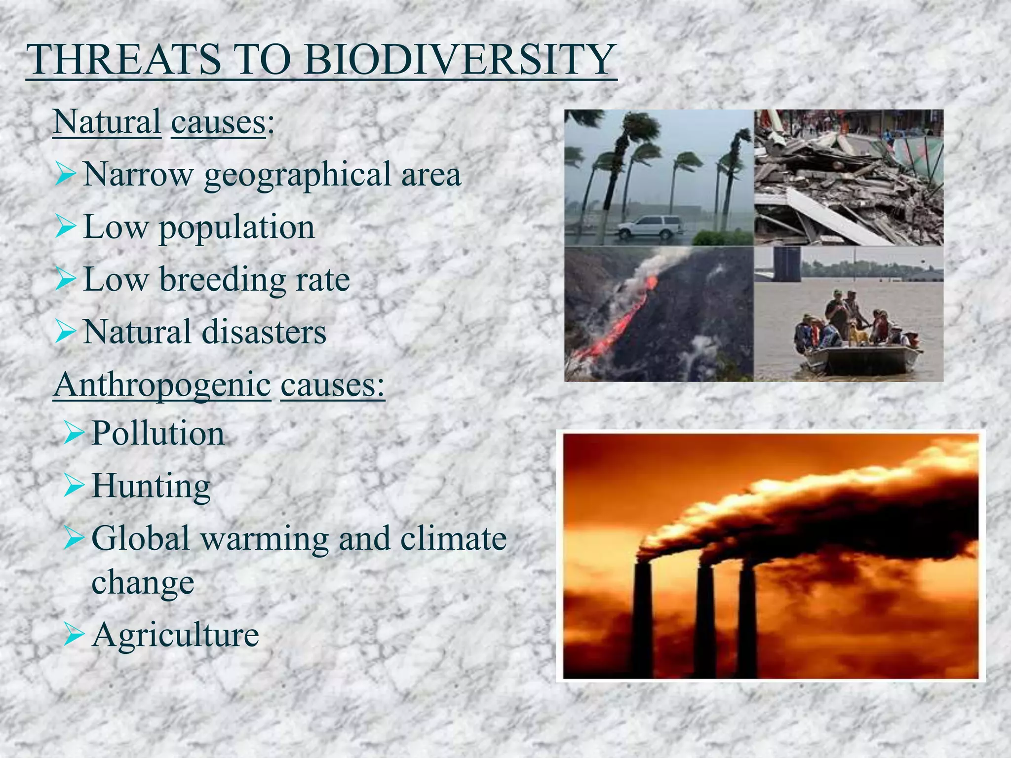 Biodiversity | PPTX