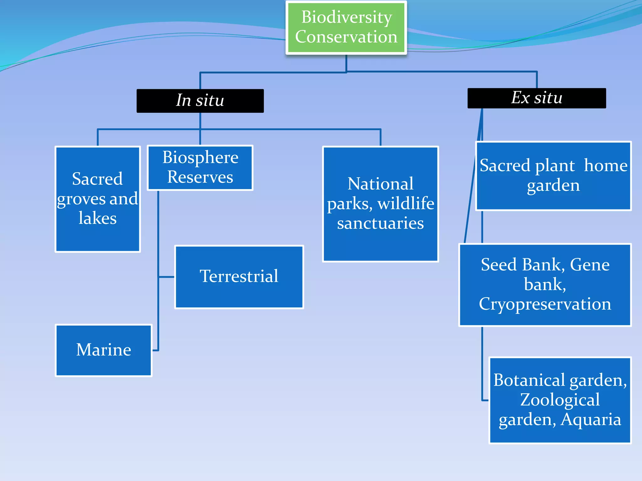 Biodiversity | PPTX