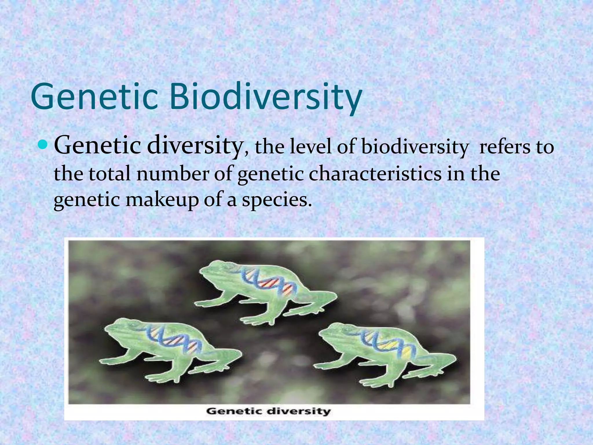 Biodiversity | PPTX