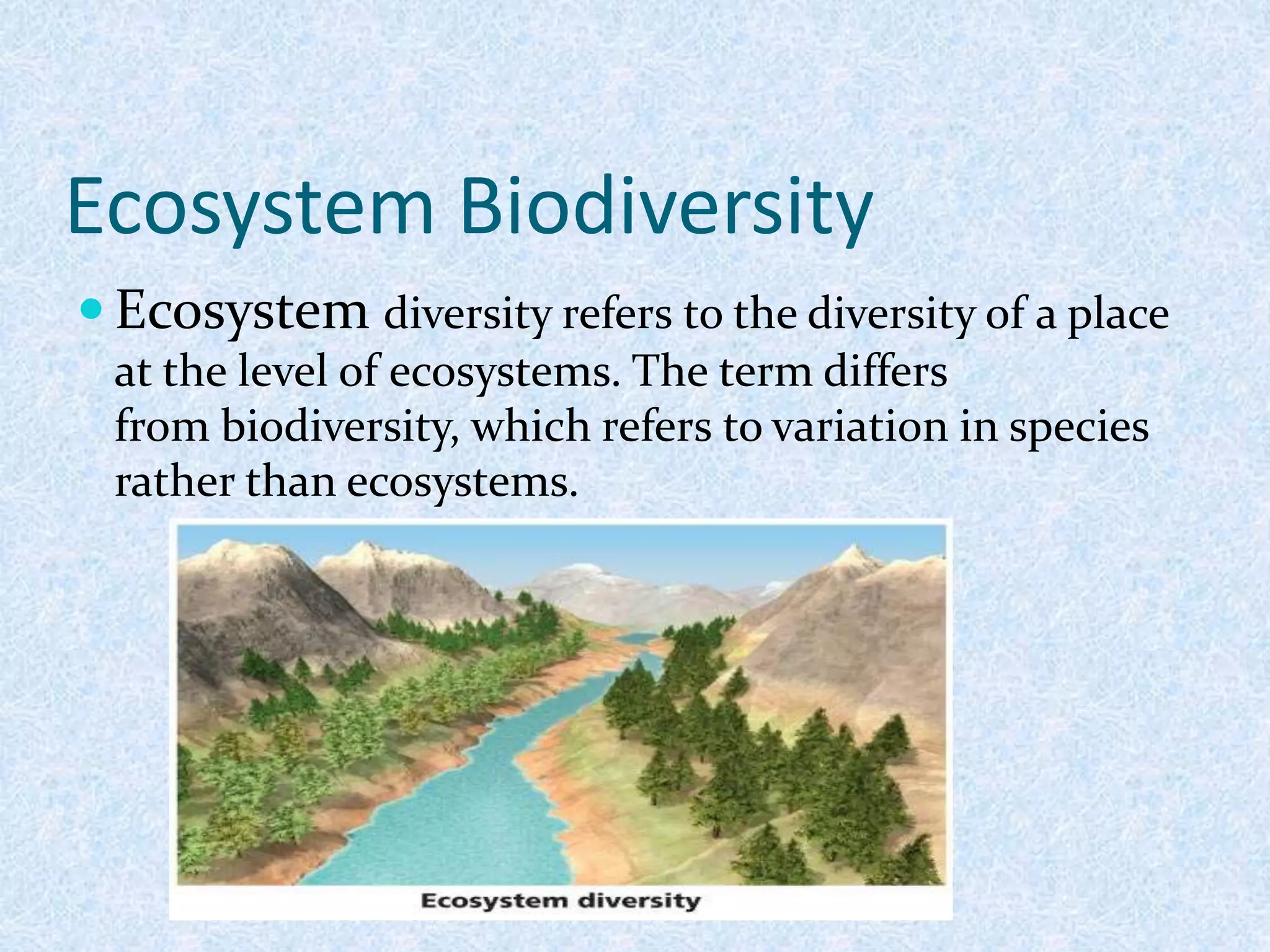 Biodiversity | PPTX