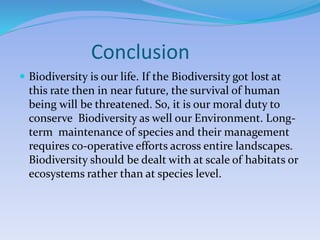 Biodiversity | PPTX