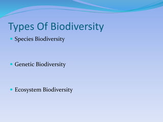 Biodiversity | PPTX