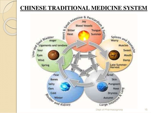 Traditional Chinese Medicine Diagram