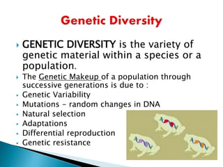 Biodiversity | PPT