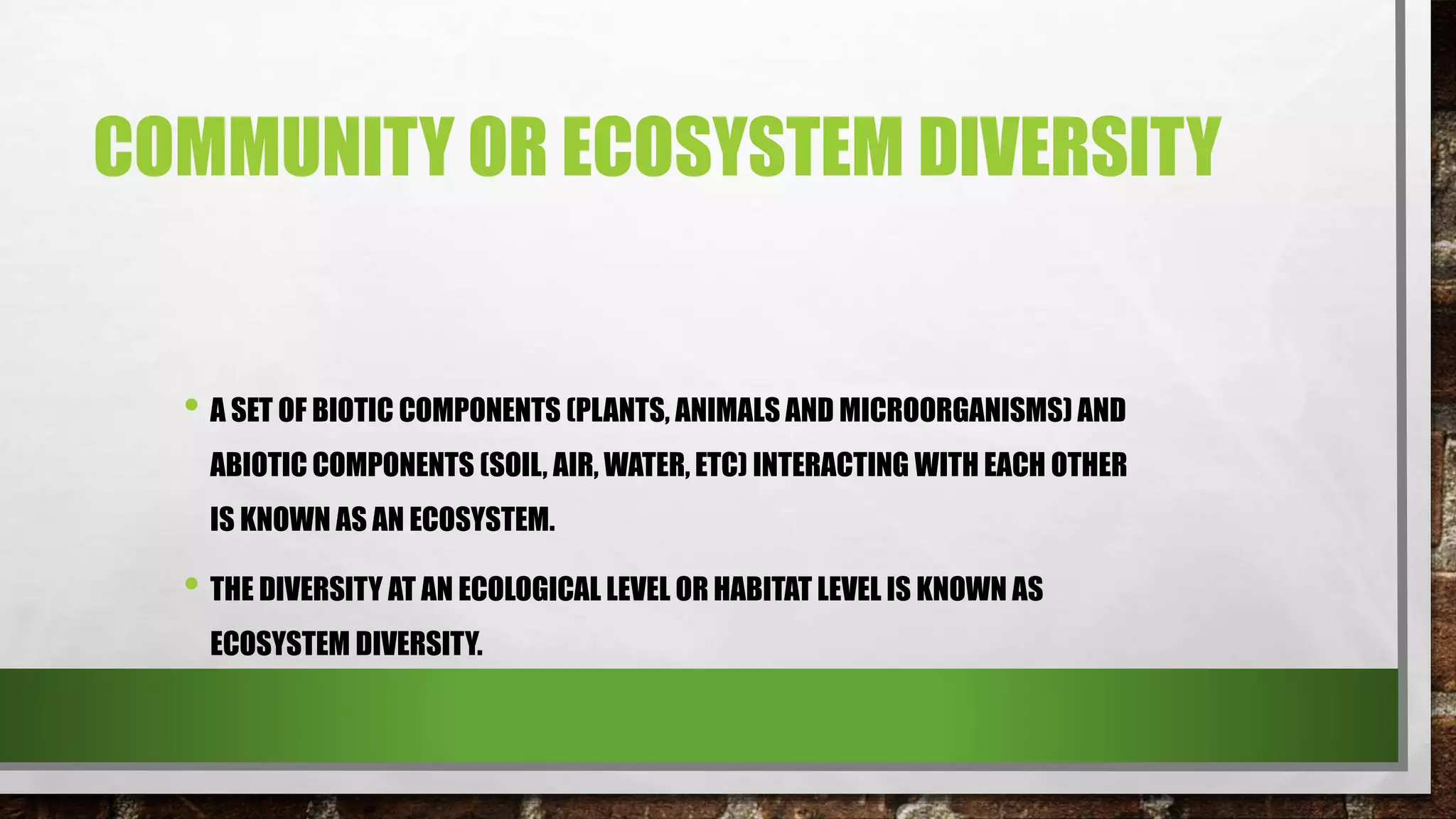 Biodiversity | PPTX