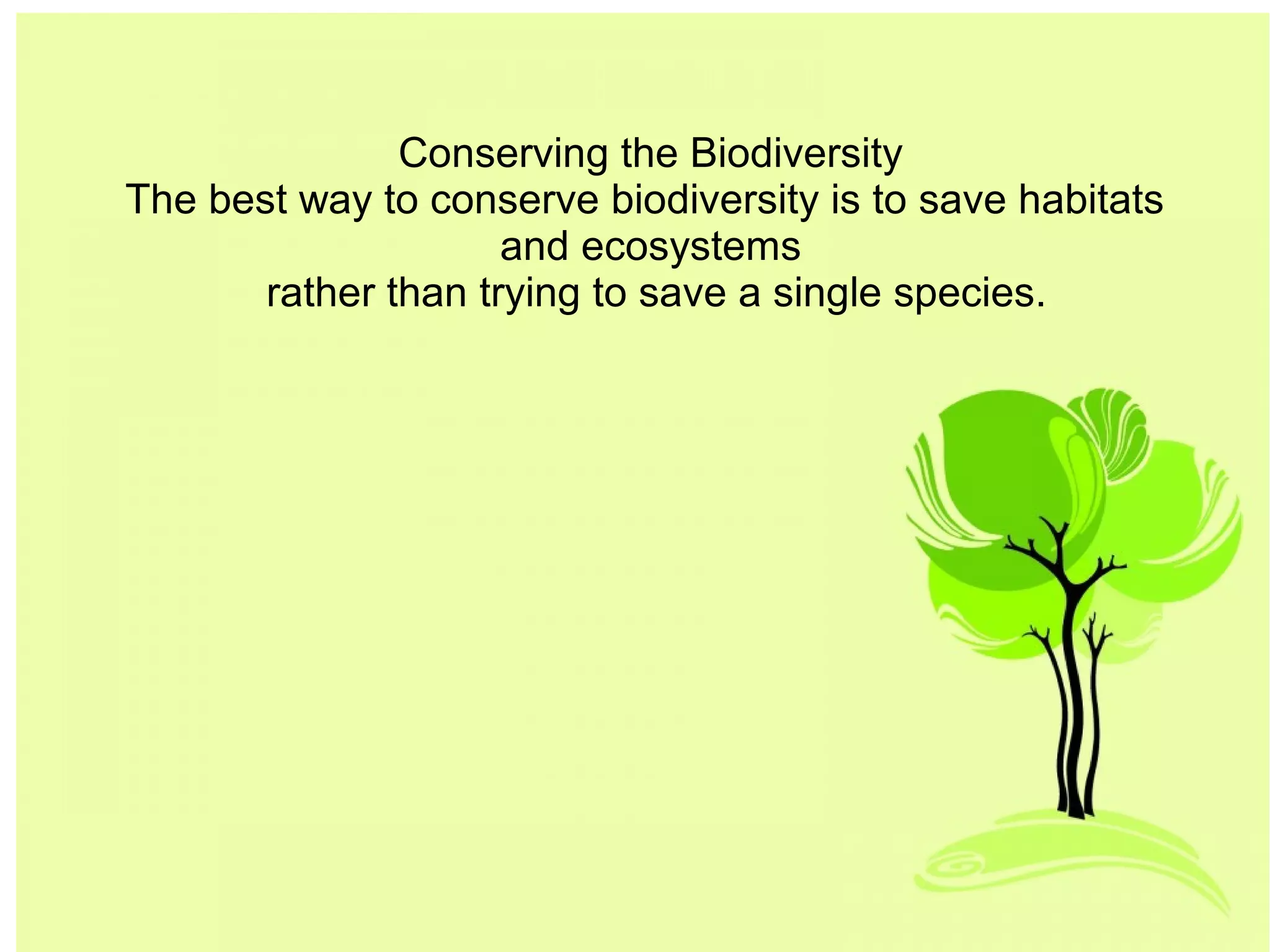 Biodiversity | ODP