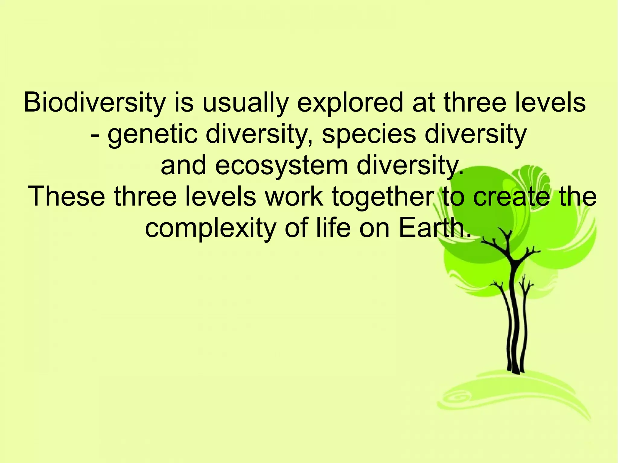 Biodiversity | PPT