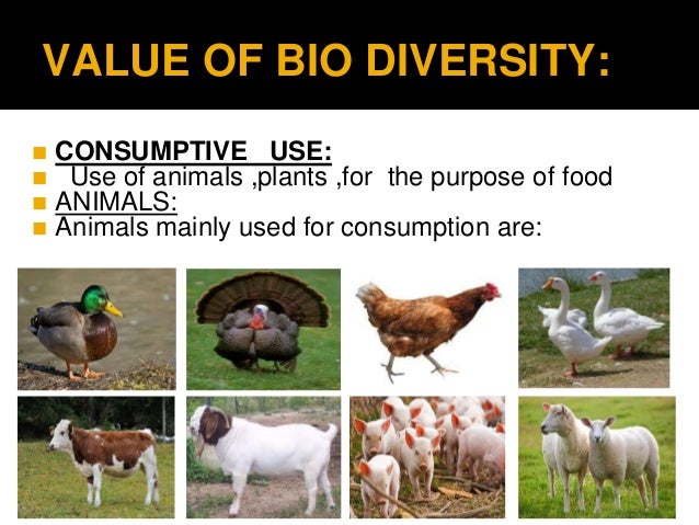 Bio diversity