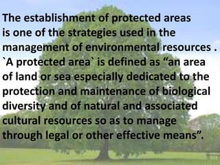 Biodiversity | PPTX
