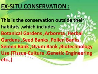 Biodiversity | PPTX
