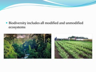 Biodiversity | PPT