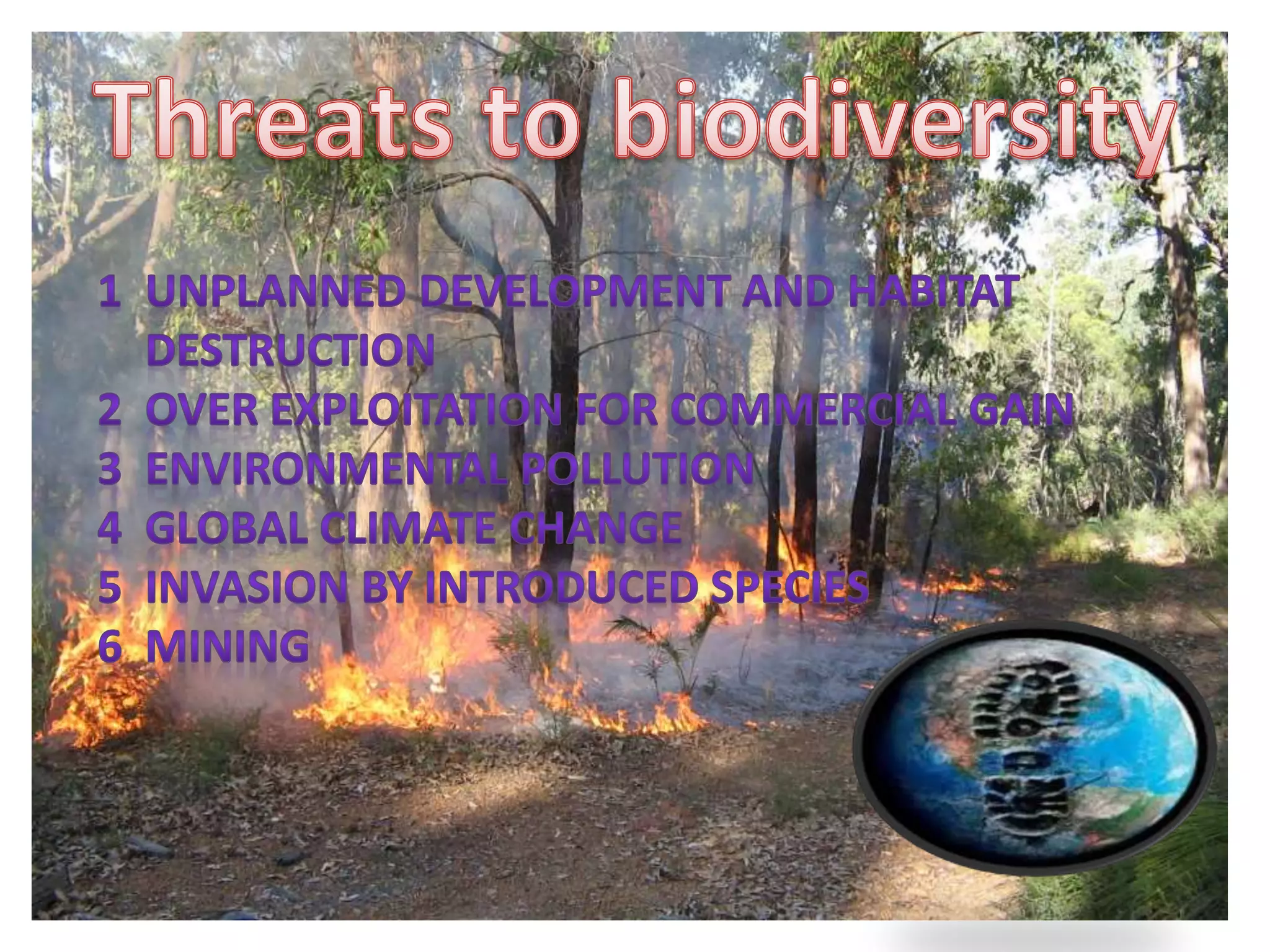 Biodiversity conservation | PPT
