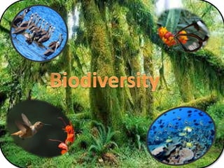 Biodiversity conservation | PPTX