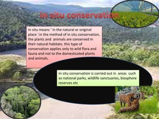 Biodiversity conservation | PPTX