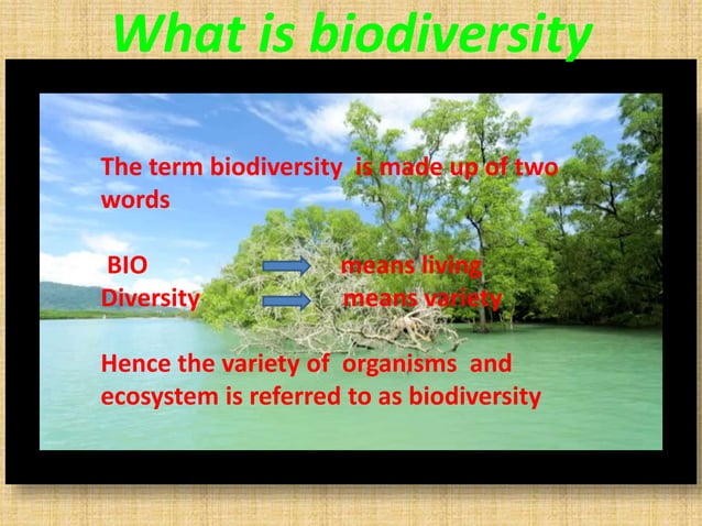 Biodiversity conservation | PPT