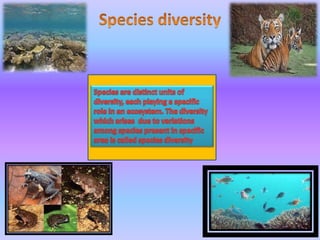 Biodiversity conservation | PPT