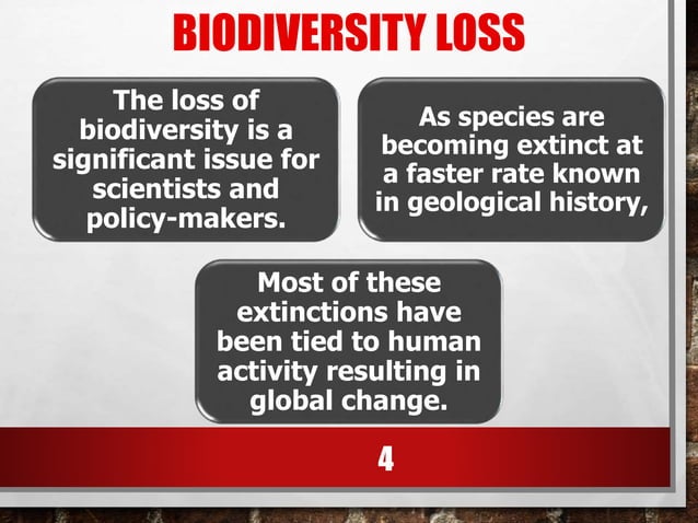 Biodiversity | PPT