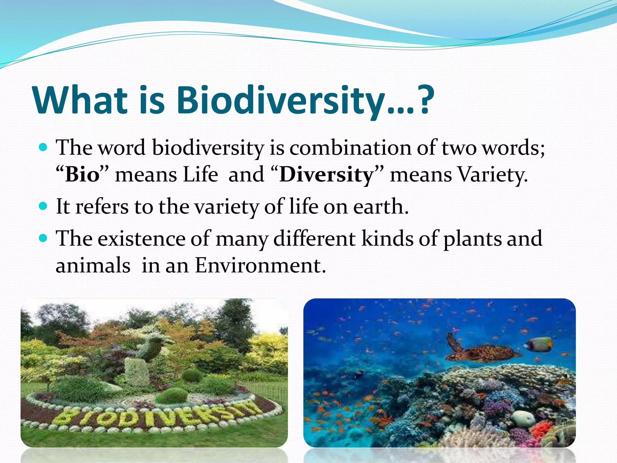 Biodiversity | PPTX