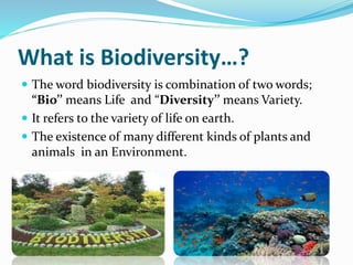 Biodiversity | PPTX