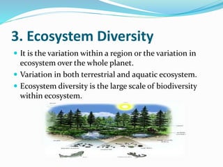 Biodiversity | PPTX