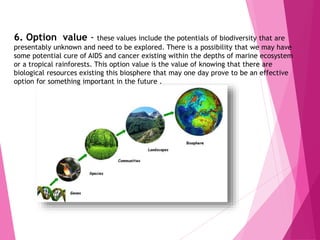 Bio diversity | PPTX