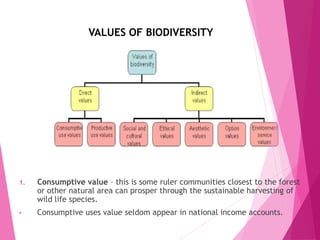 Bio diversity | PPTX