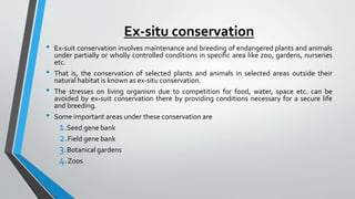 Biodiversity and Indian Biodiversity | PPTX