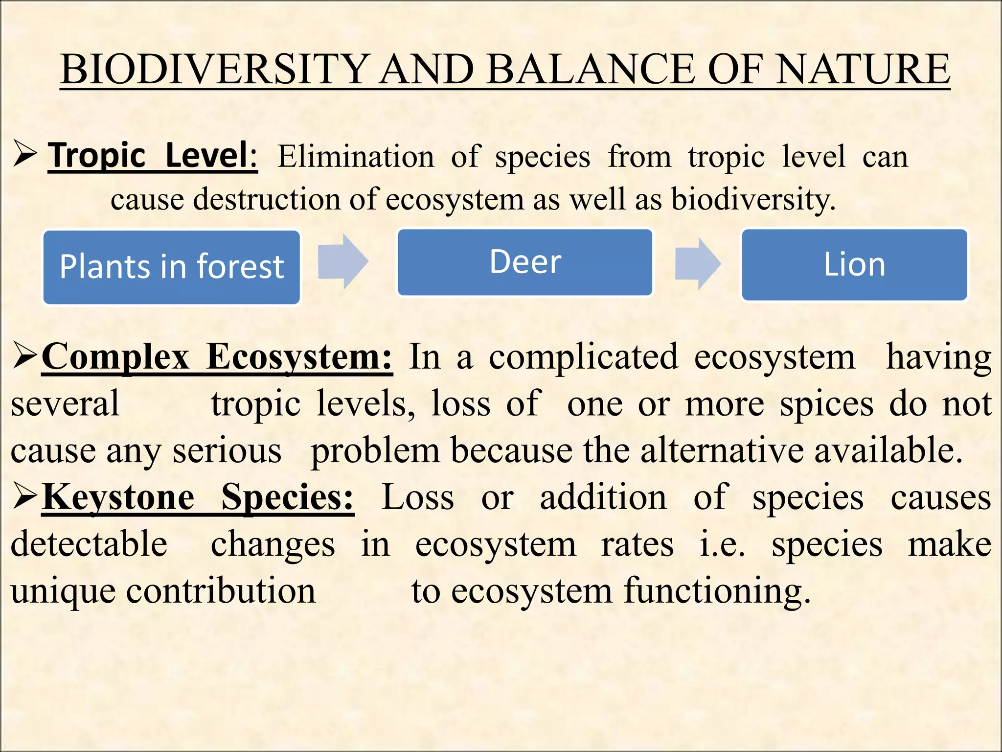Biodiversity | PDF