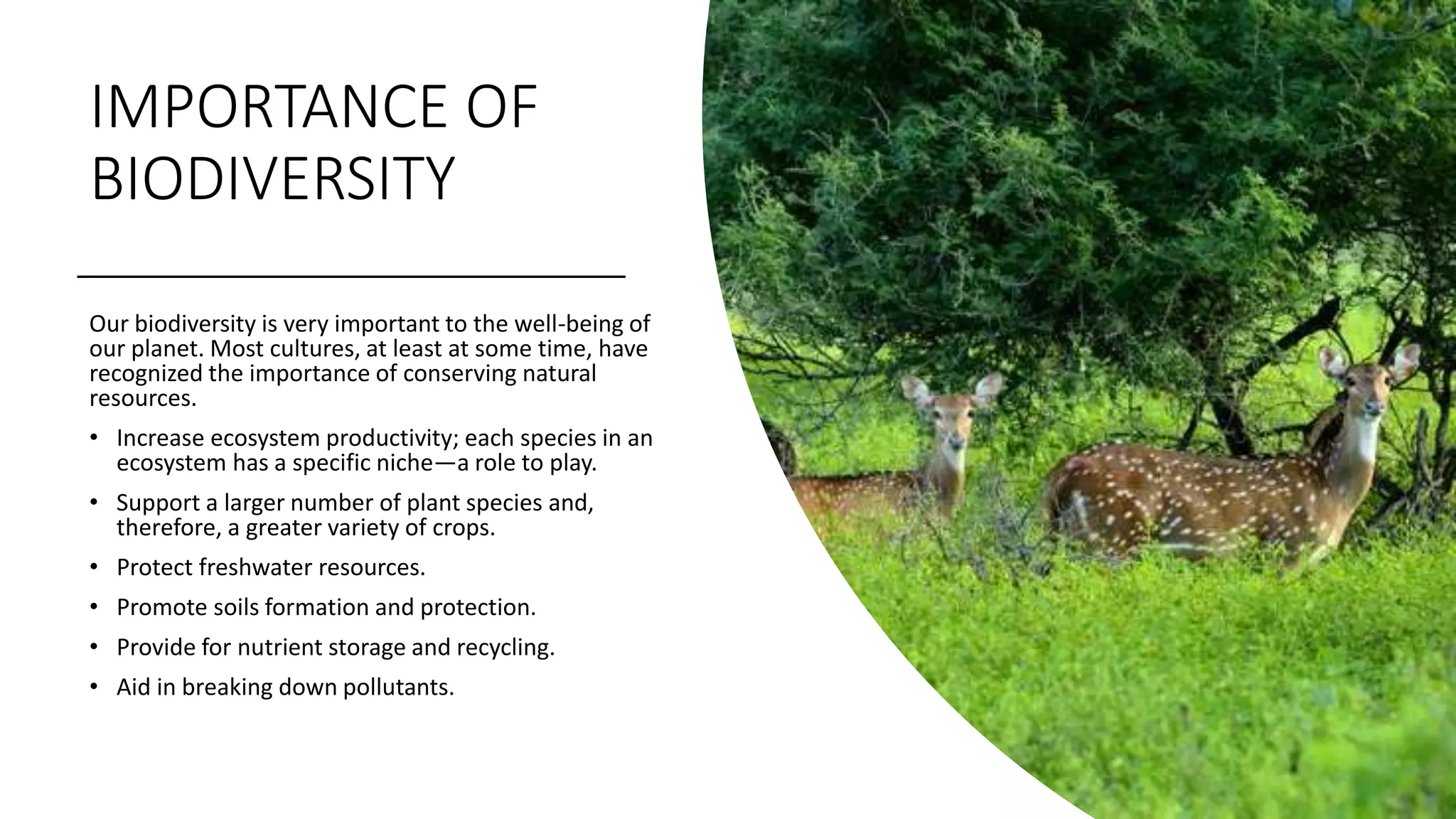 Biodiversity | PPTX