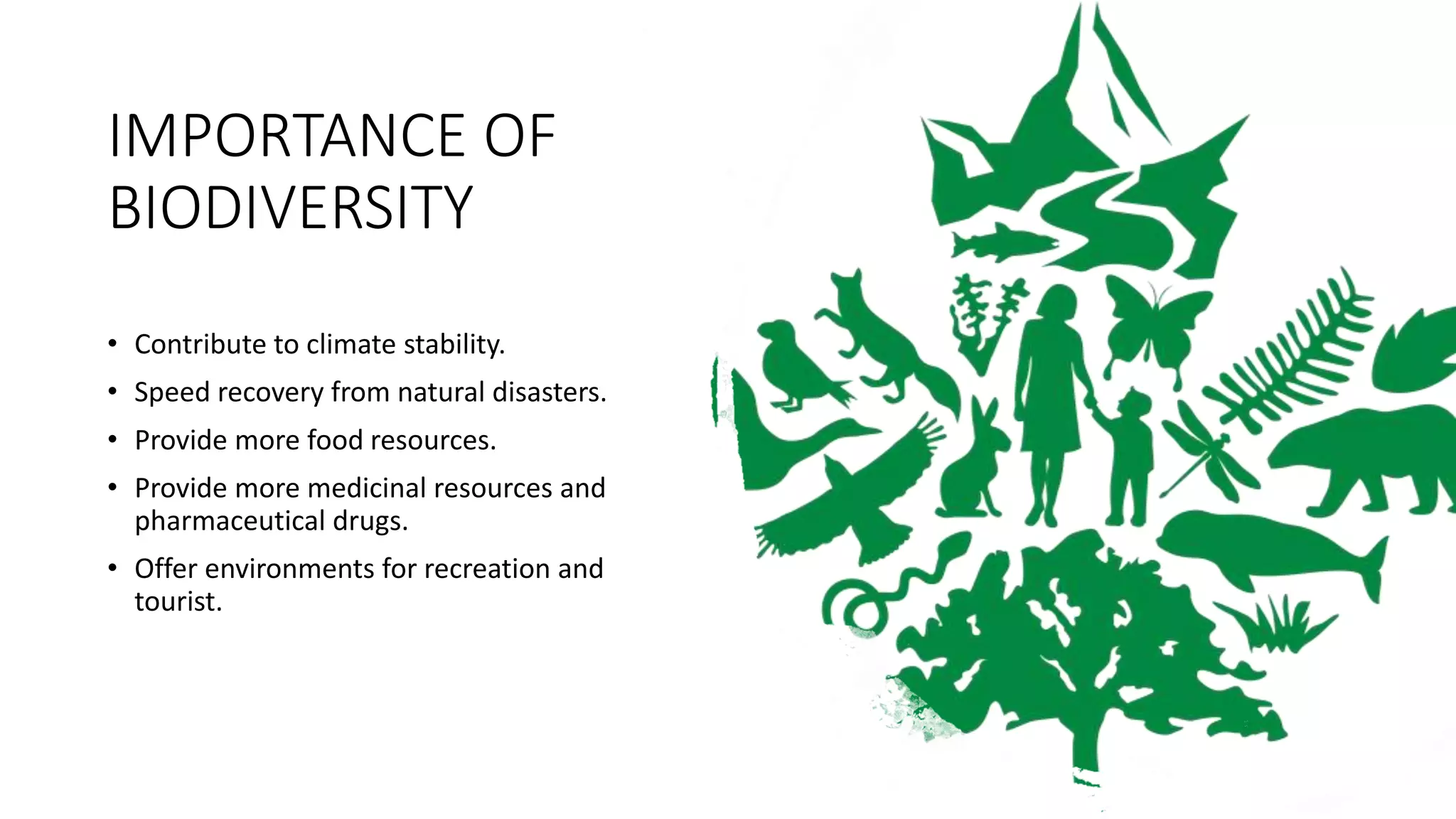 Biodiversity | PPTX