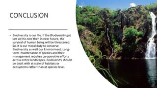 Biodiversity | PPTX