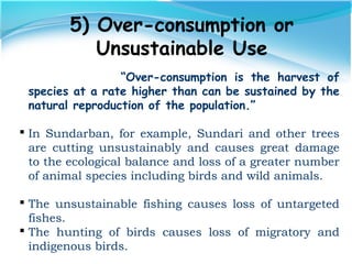 Biodiversity | PPT