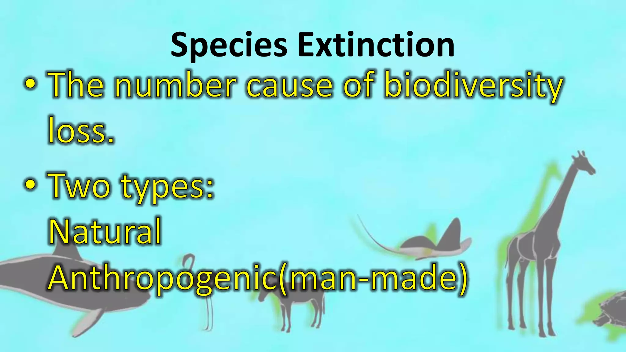 Biodiversity - Extinct and Endagered Species | PPTX