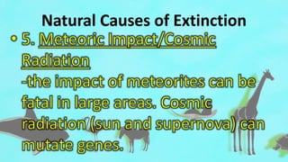 Biodiversity - Extinct and Endagered Species | PPTX