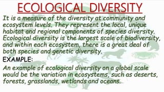 Biodiversity | PPT