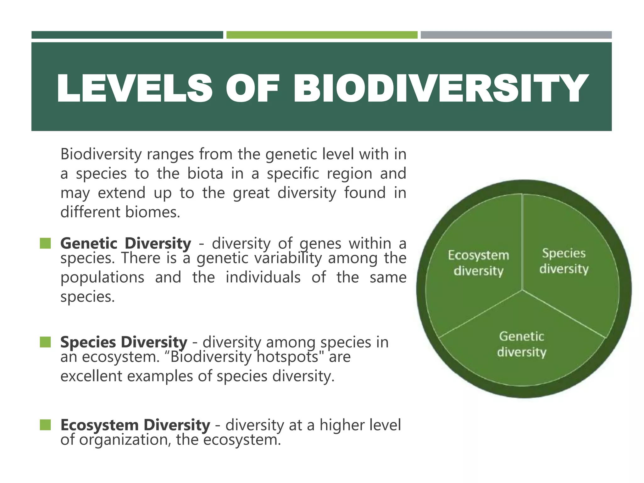 Biodiversity | PPT | Science