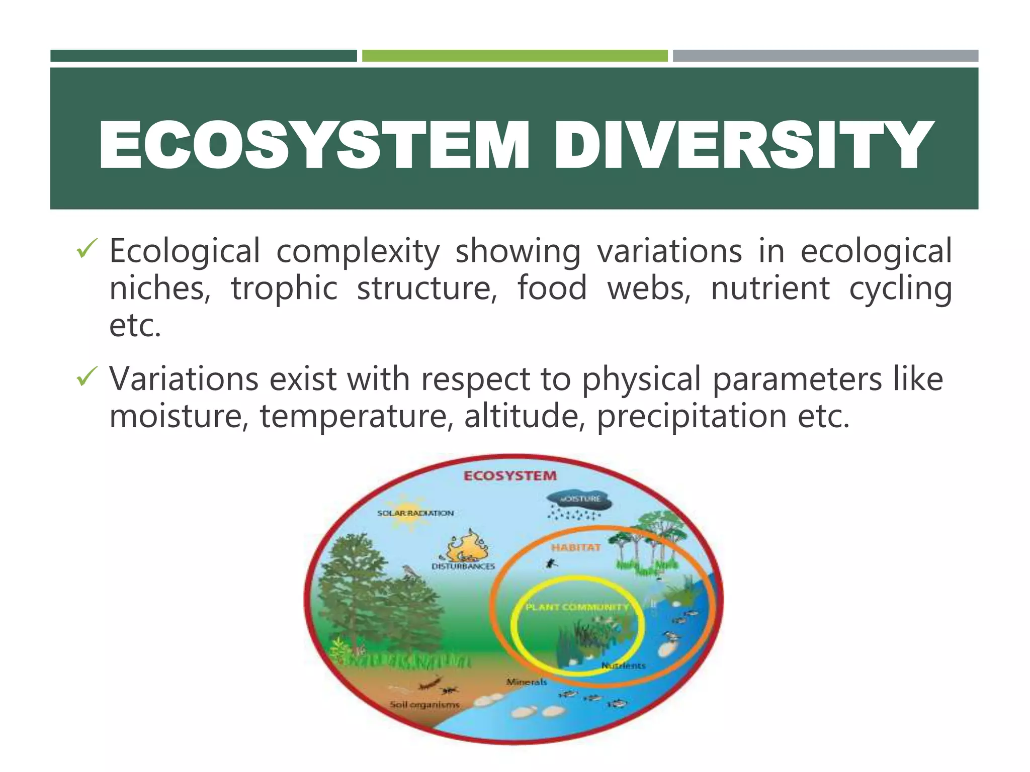 Biodiversity | PPT | Science