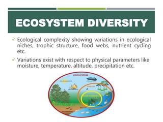 Biodiversity | PPT