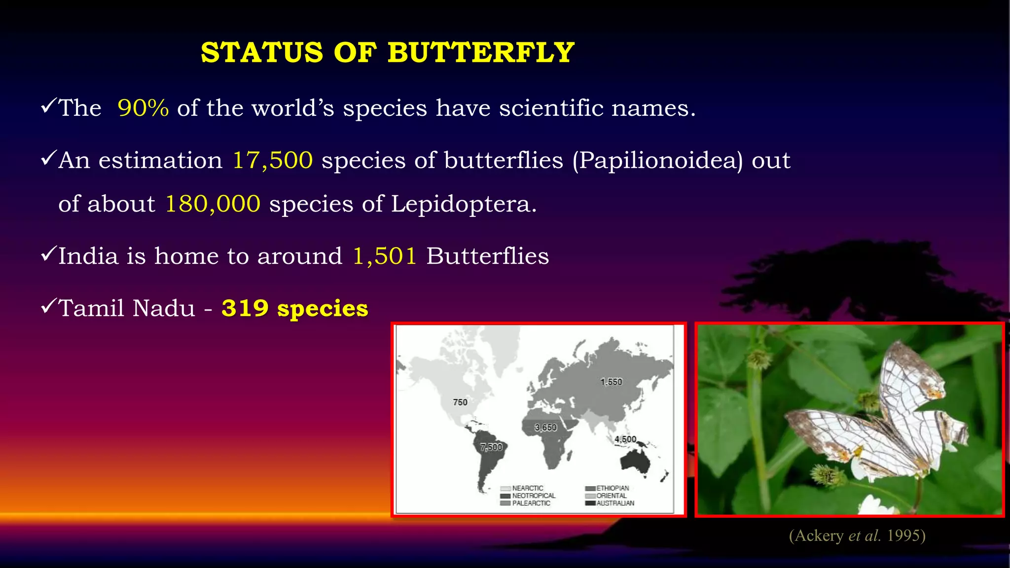 Biodiversity and conservation of butterflies, Insects | PPTX