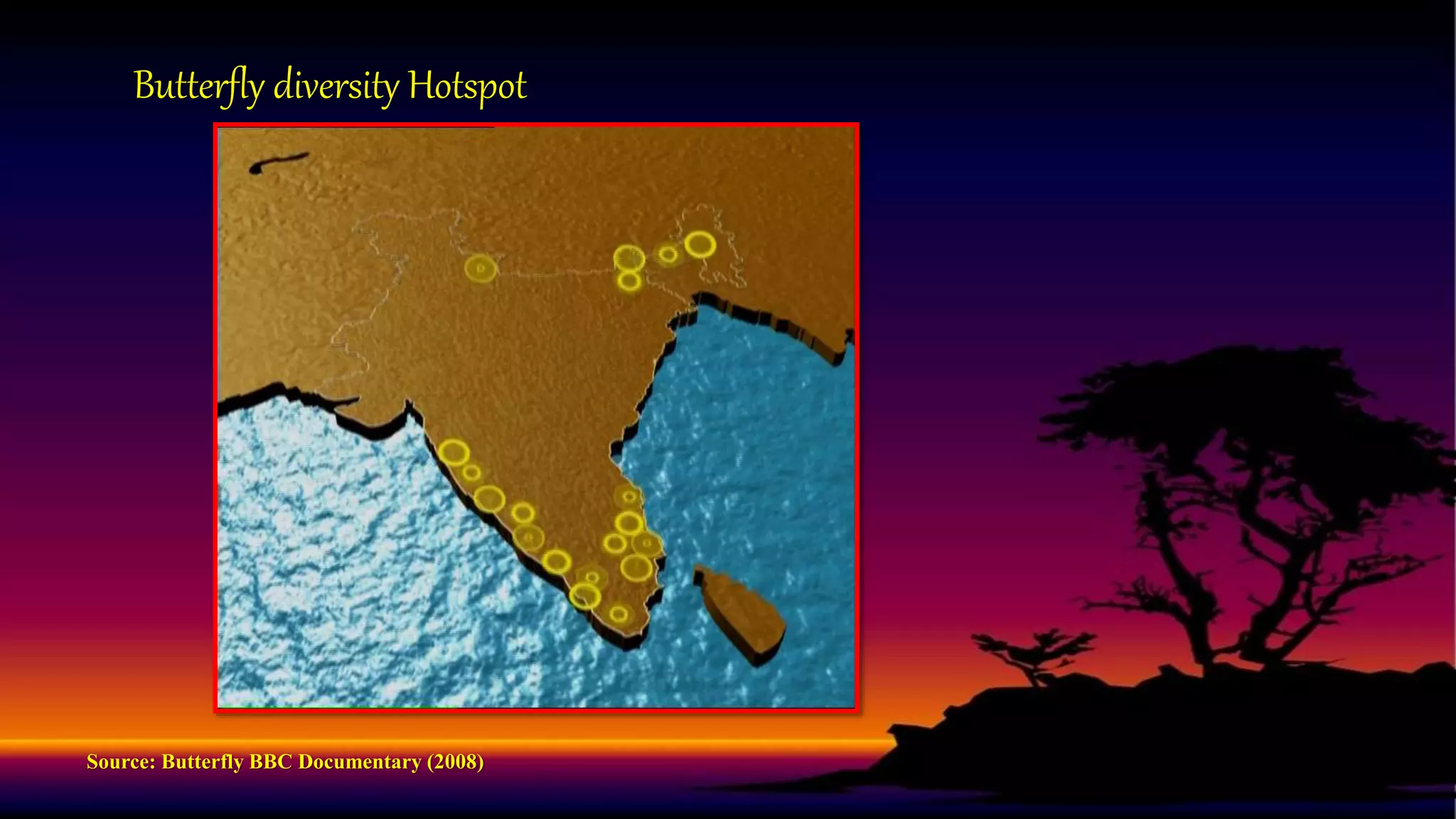 Biodiversity and conservation of butterflies, Insects | PPTX
