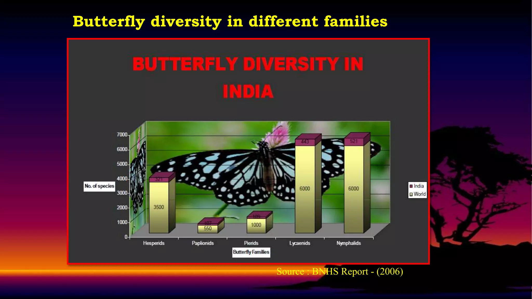 Biodiversity and conservation of butterflies, Insects | PPTX