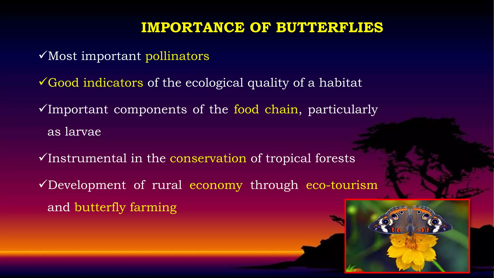 Biodiversity and conservation of butterflies, Insects | PPTX