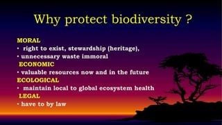 Biodiversity and conservation of butterflies, Insects | PPTX