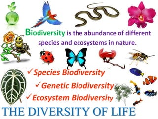 Biodiversity - The Natural Wonder | PPSX