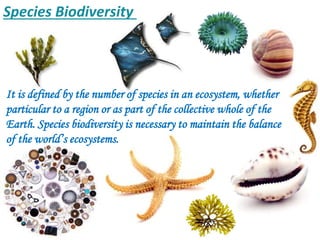 Biodiversity - The Natural Wonder | PPSX