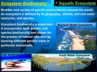 Biodiversity - The Natural Wonder | PPSX