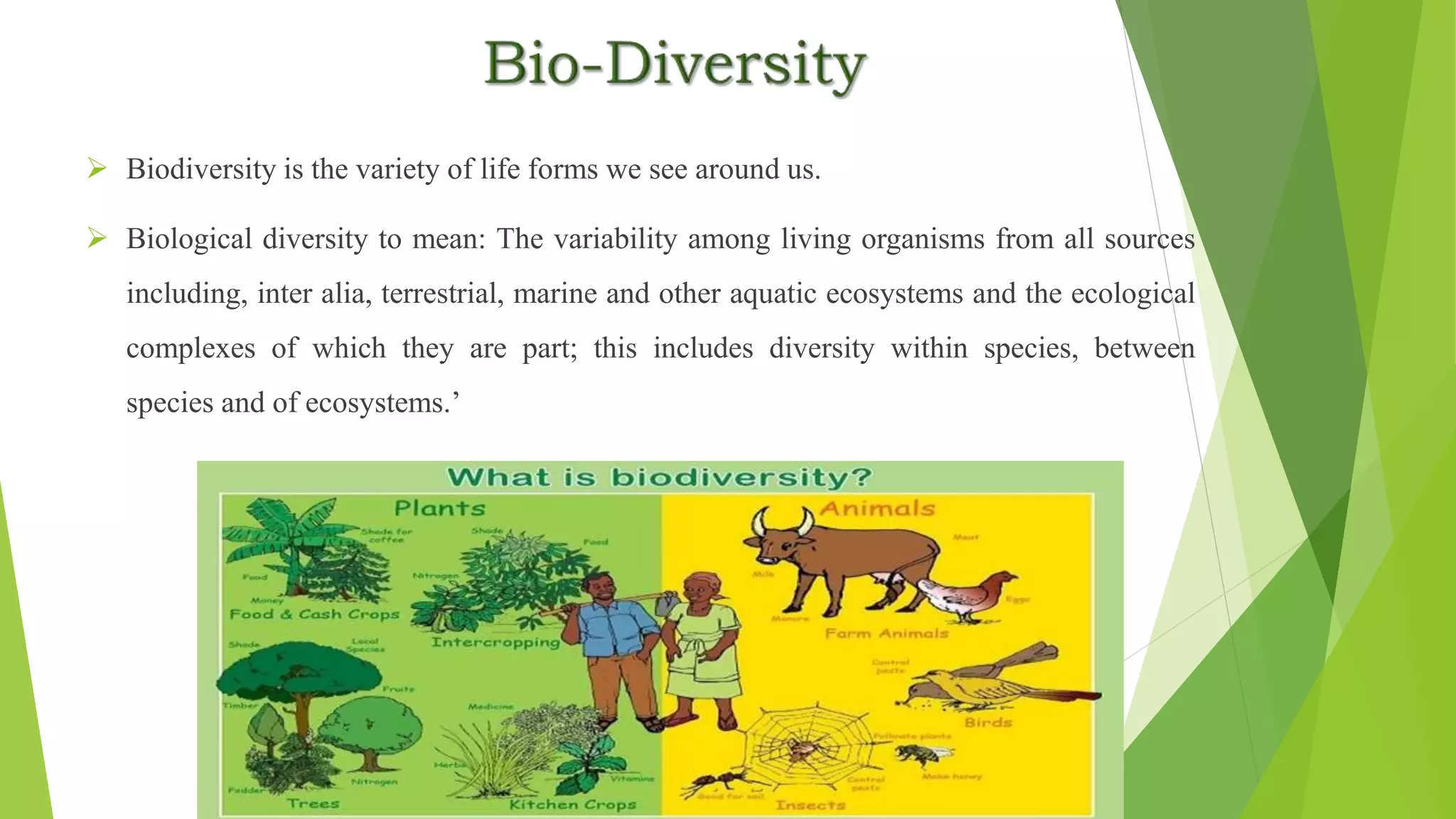 Sustainable Development & Bio-Diversity | PPTX