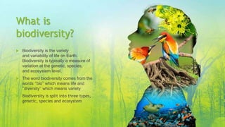 Biodiversity | PPTX