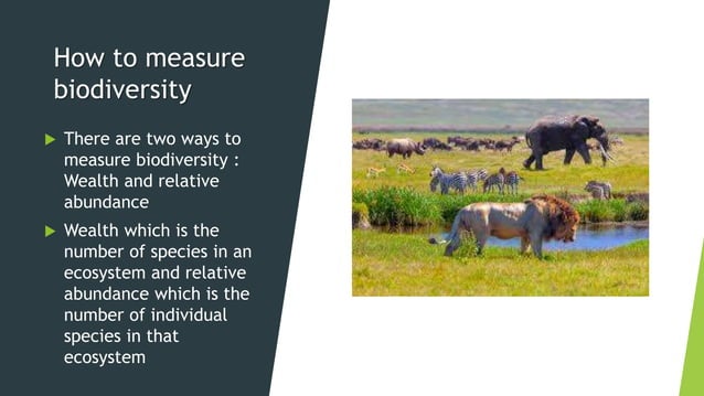 Biodiversity | PPT